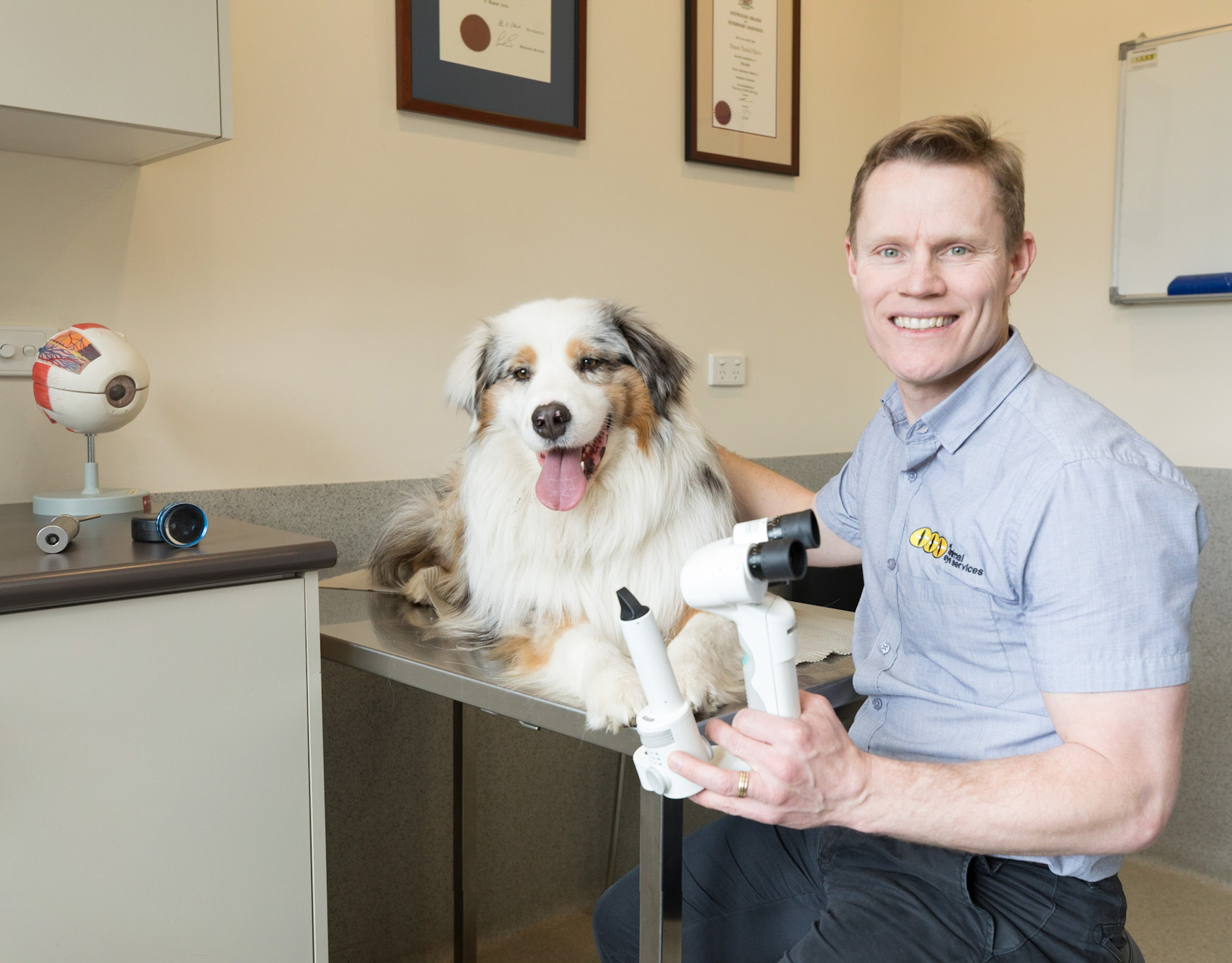 Staff – All Animal Eye Services